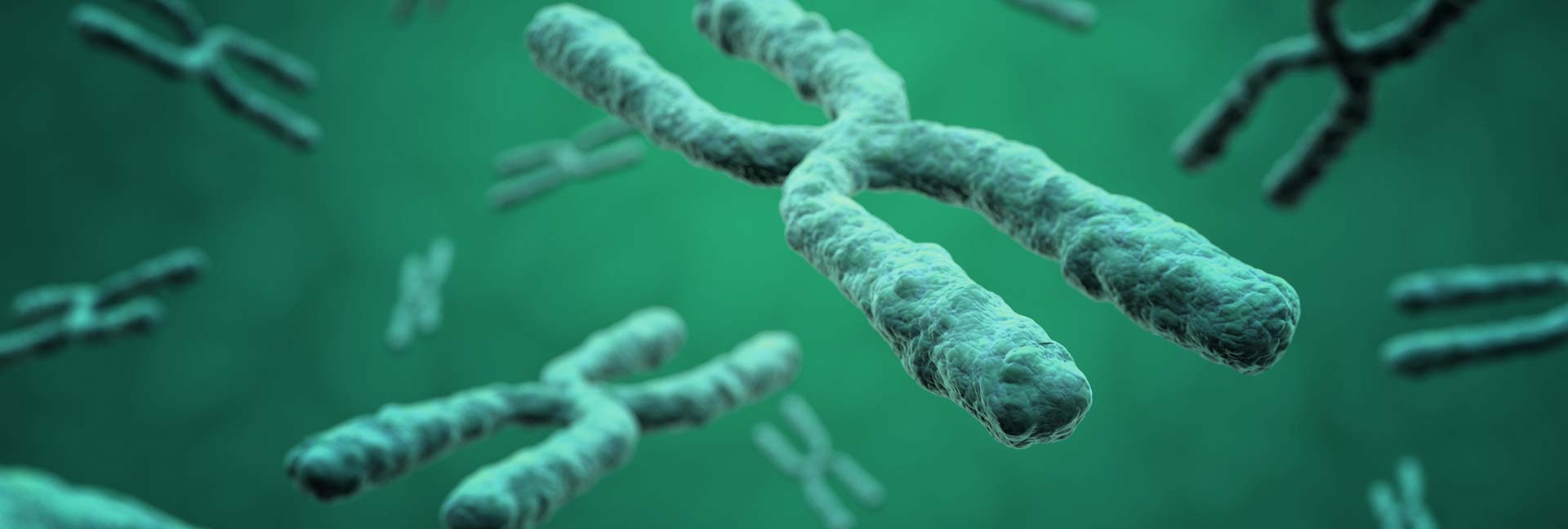 What are Telomeres? - Longevity By Nature