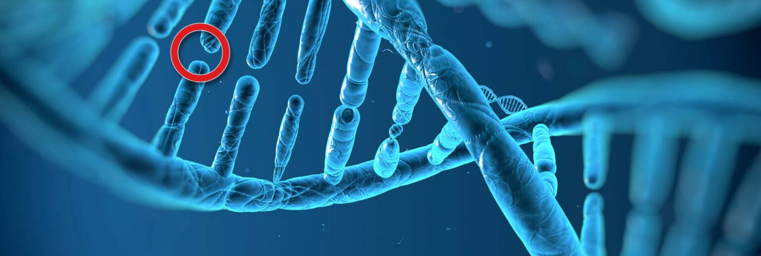 What is Short Telomere Syndrome? | Longevity By Nature
