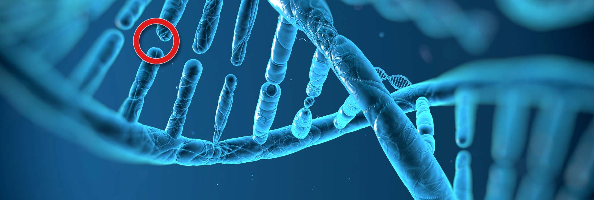 What is Short Telomere Syndrome? | Longevity By Nature